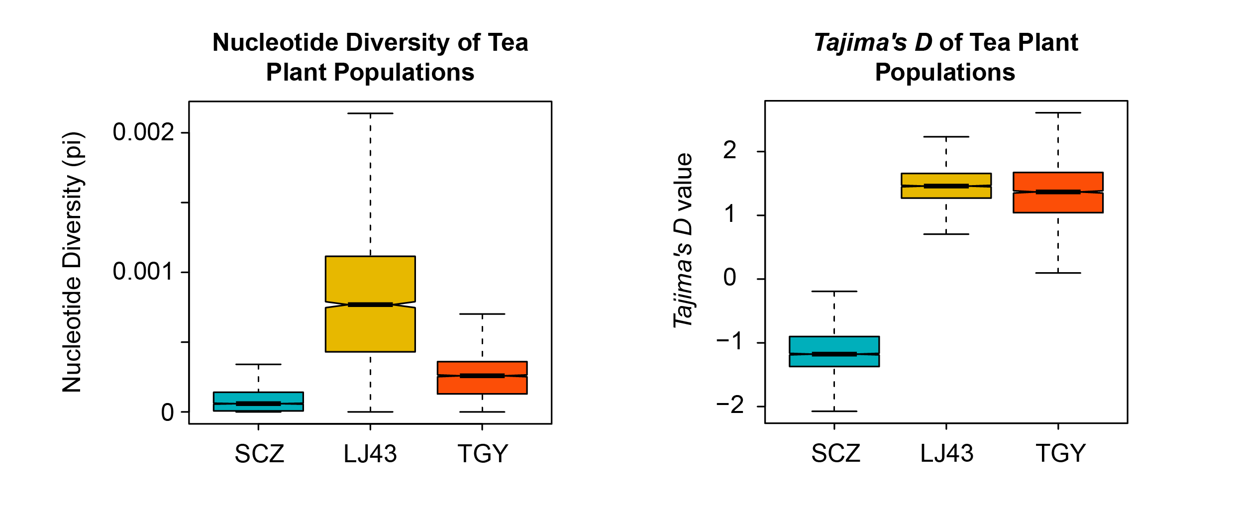 Population Genetics Analysis